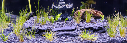 Aquarium Gravel – Small World Slate & Stone